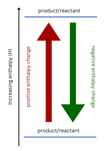 Thermochemistry: Interpreting Thermochemical Equations and Sketching ...